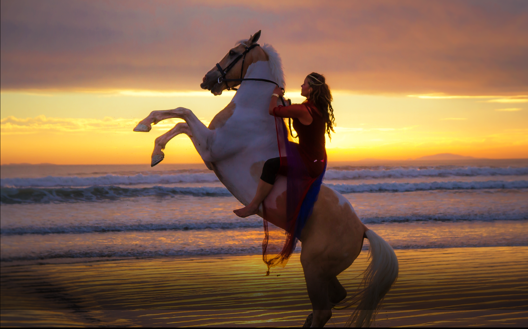 FreeRiding NZ - Alycia Burton - Free Rider